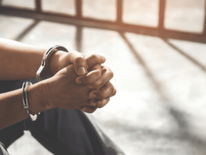 ConWeb MT Search - Montana Arrests